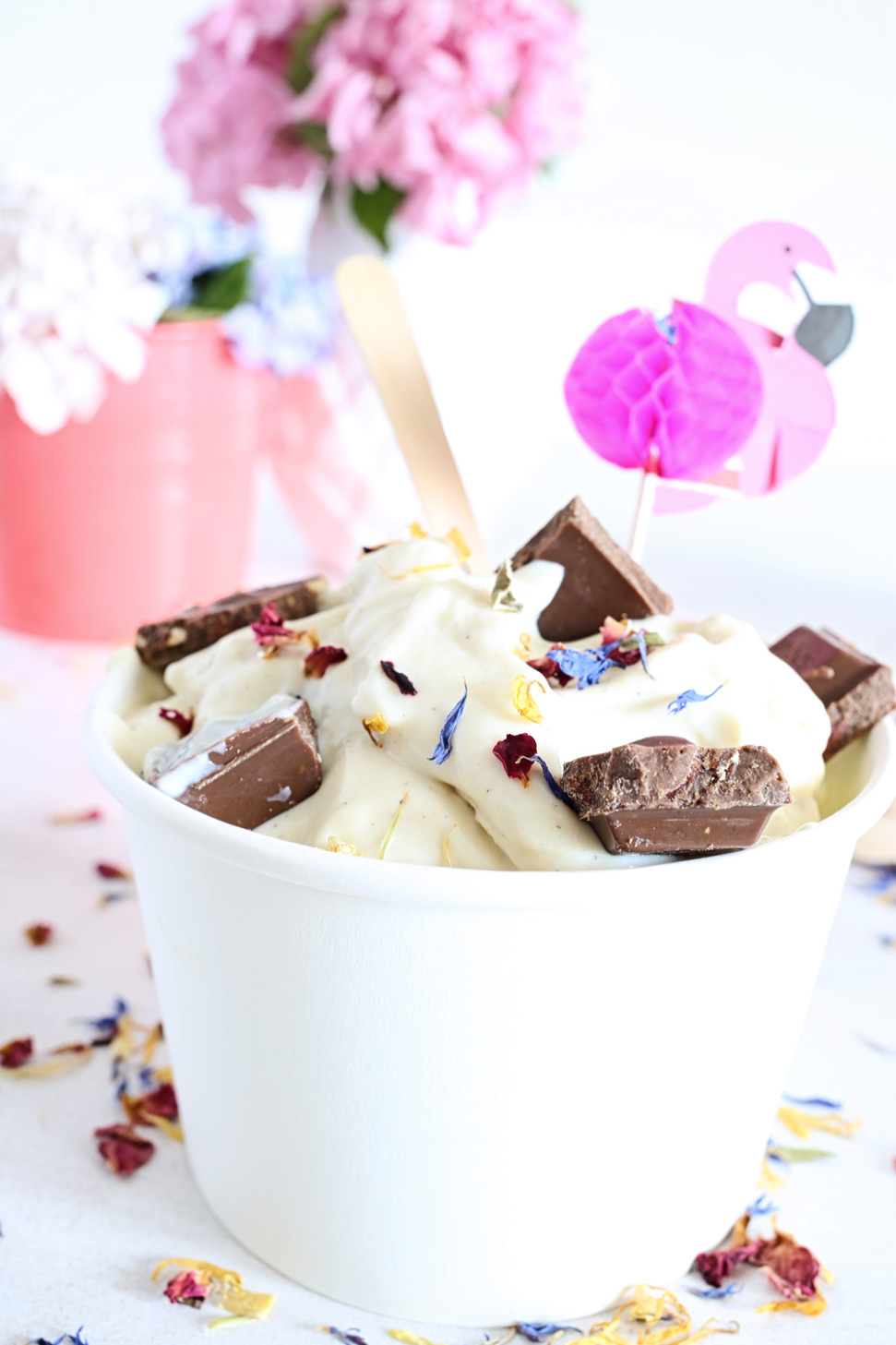 Eis, Eis, Baby: Kokos Frozen Yogurt - Pottgewächs